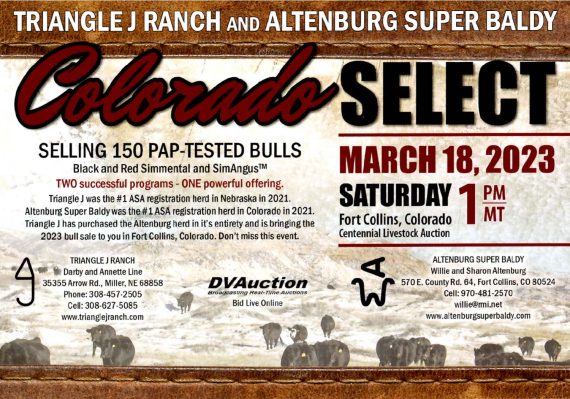Centennial Livestock Auction Co. – Colorado Livestock Auction