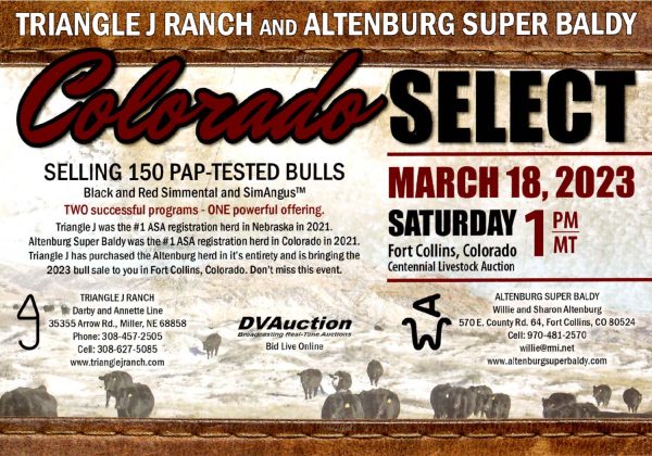 Centennial Livestock Auction Co. – Colorado Livestock Auction