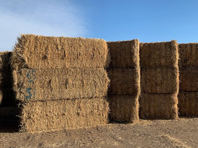 IMG_9187 – Centennial Livestock Auction Co.