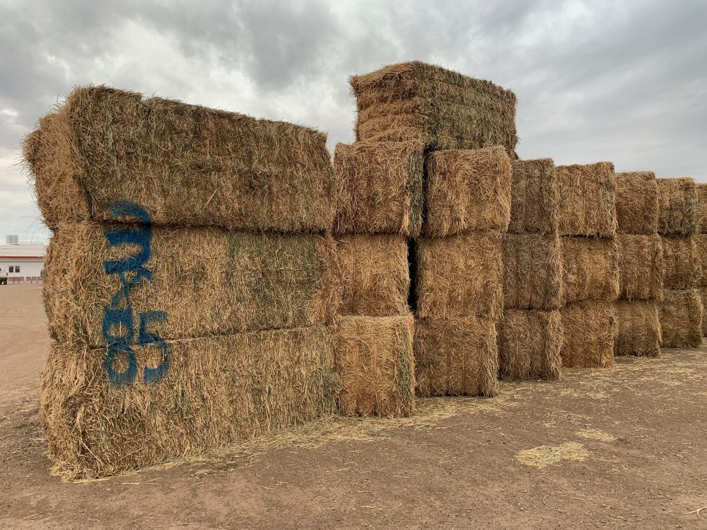 Hay Auction – Centennial Livestock Auction Co.