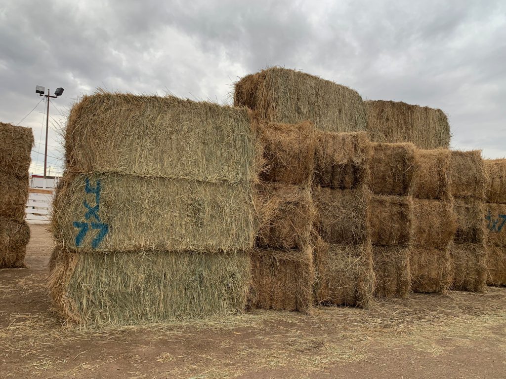 Hay Auction – Centennial Livestock Auction Co.