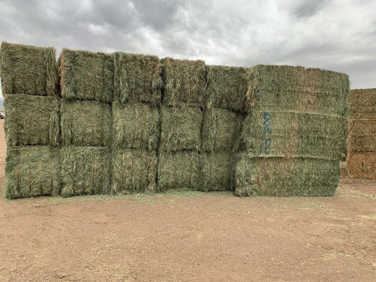 Hay Auction – Centennial Livestock Auction Co.