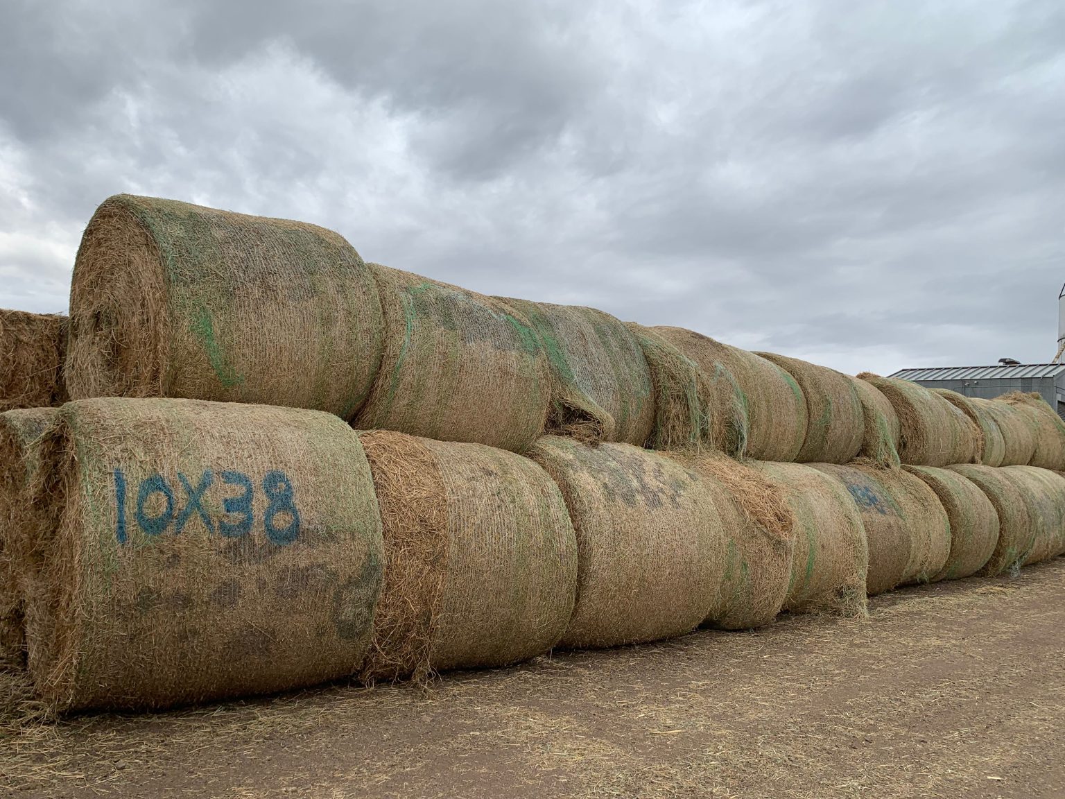 Hay Auction – Centennial Livestock Auction Co.