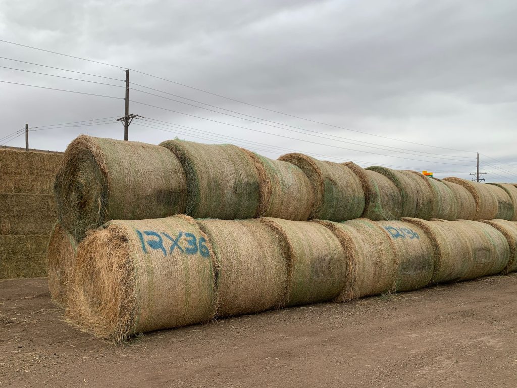 Hay Auction – Centennial Livestock Auction Co.