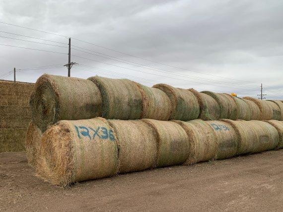 Hay Auction – Centennial Livestock Auction Co.