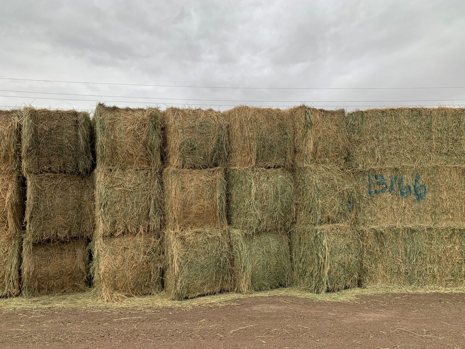 Hay Auction – Centennial Livestock Auction Co.