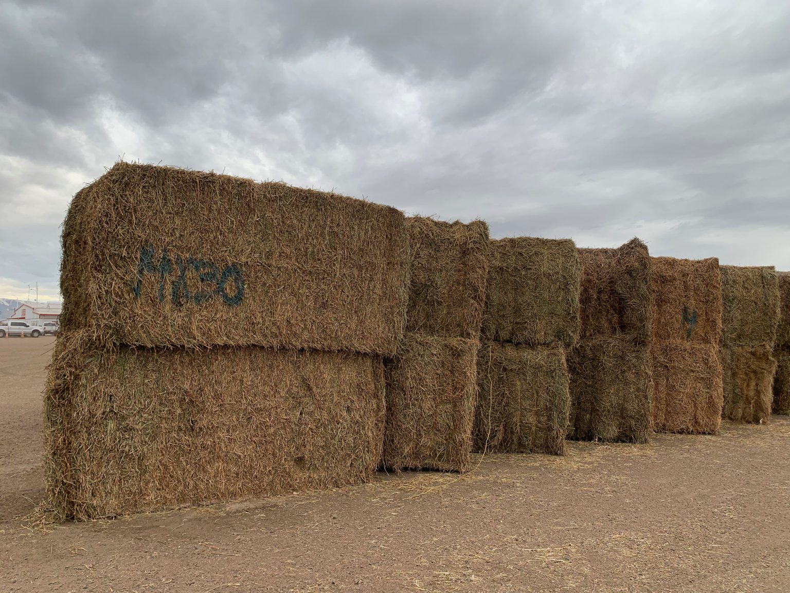 Hay Auction – Centennial Livestock Auction Co.