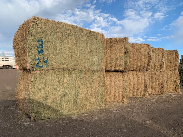 Hay Auction – Centennial Livestock Auction Co.