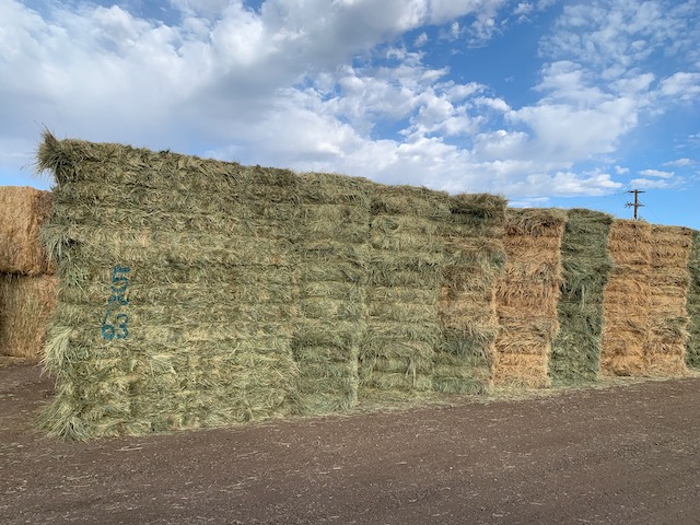 Hay Auction – Centennial Livestock Auction Co.