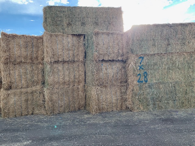 Hay Auction – Centennial Livestock Auction Co.