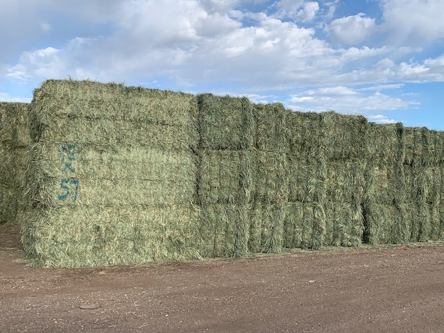 Hay Auction – Centennial Livestock Auction Co.
