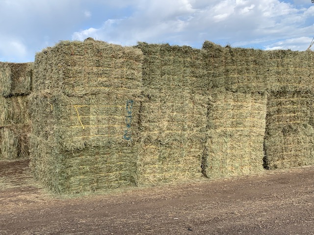 Hay Auction – Centennial Livestock Auction Co.