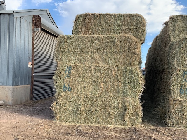 Hay Auction – Centennial Livestock Auction Co.