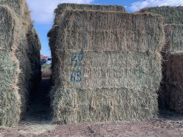 Hay Auction – Centennial Livestock Auction Co.