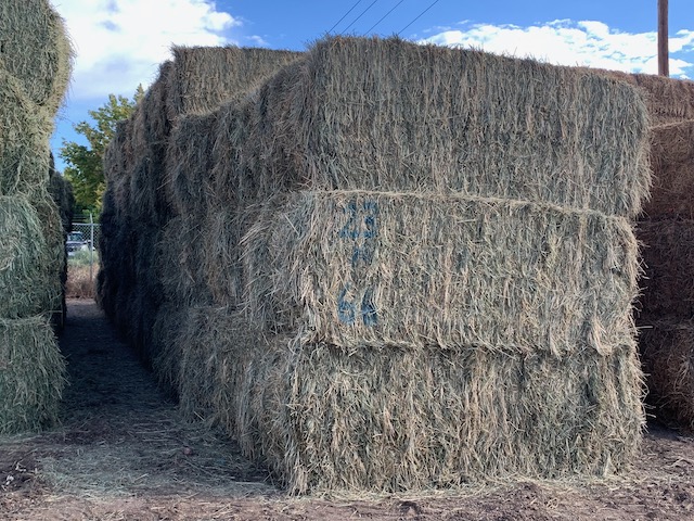 Hay Auction – Centennial Livestock Auction Co.