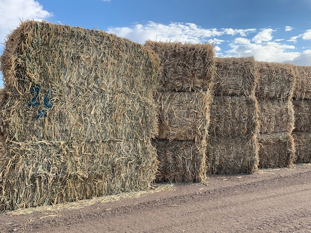 Hay Auction – Centennial Livestock Auction Co.