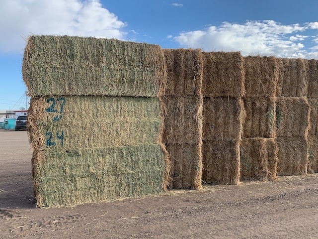 Hay Auction – Centennial Livestock Auction Co.