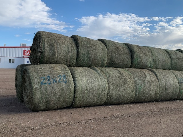 Hay Auction – Centennial Livestock Auction Co.