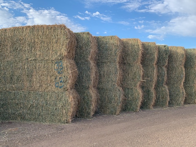 Hay Auction – Centennial Livestock Auction Co.