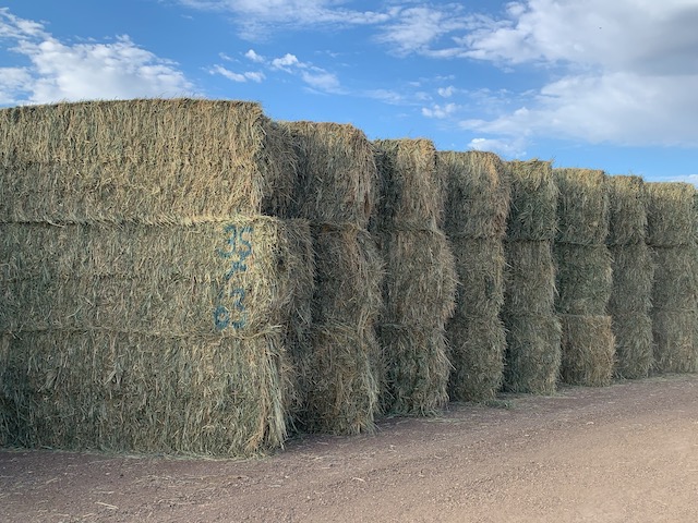 Hay Auction – Centennial Livestock Auction Co.