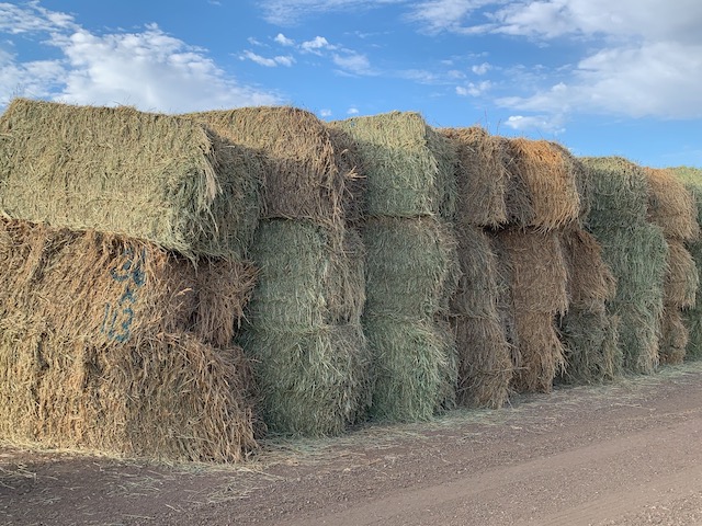 Hay Auction – Centennial Livestock Auction Co.