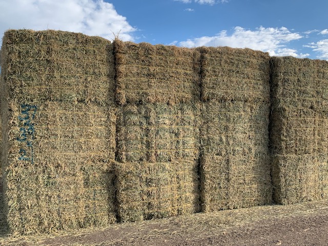 Hay Auction – Centennial Livestock Auction Co.