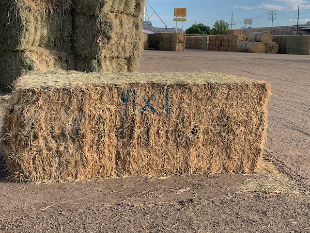 Hay Auction – Centennial Livestock Auction Co.