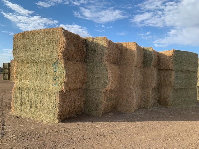 Hay Auction – Centennial Livestock Auction Co.