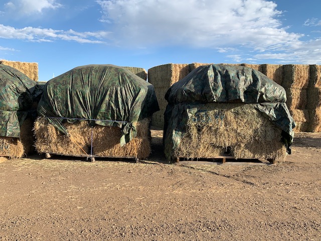 Hay Auction – Centennial Livestock Auction Co.