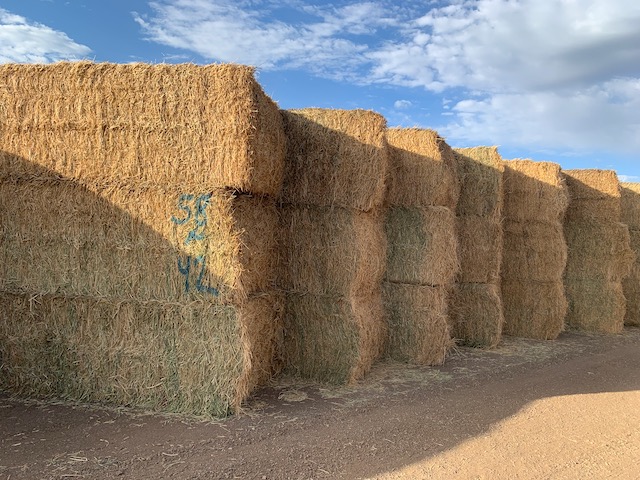 Hay Auction – Centennial Livestock Auction Co.