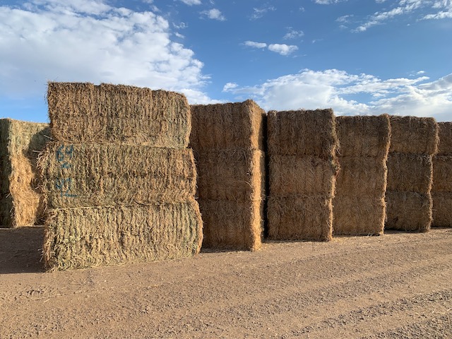 Hay Auction – Centennial Livestock Auction Co.