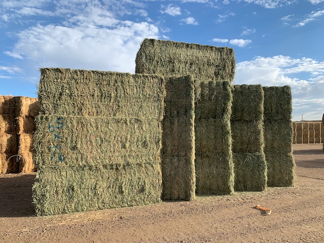 Hay Auction – Centennial Livestock Auction Co.