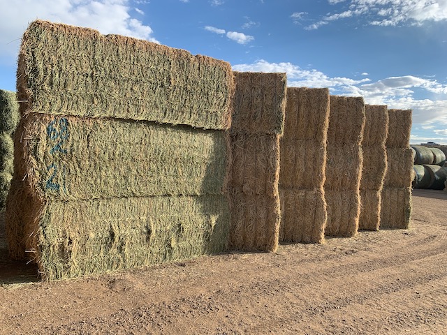Hay Auction – Centennial Livestock Auction Co.