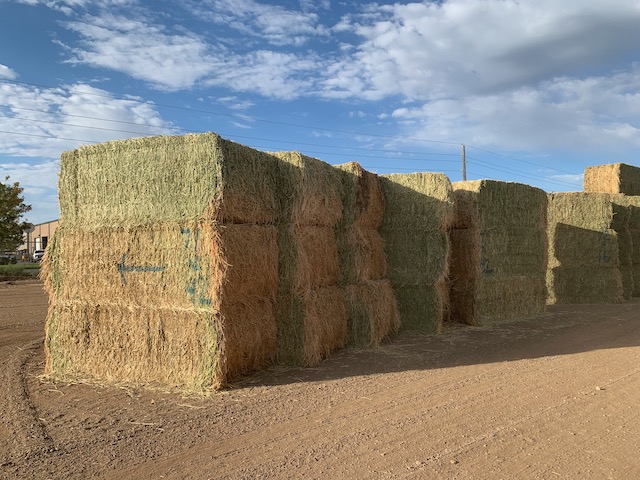 Hay Auction – Centennial Livestock Auction Co.