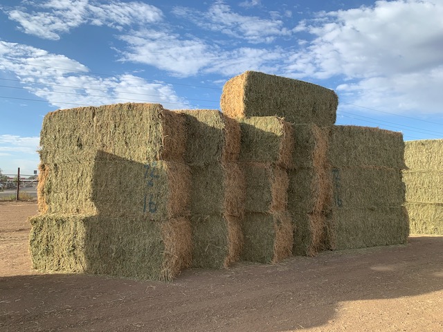 Hay Auction – Centennial Livestock Auction Co.