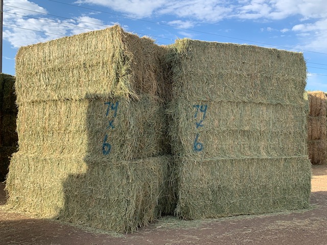 Hay Auction – Centennial Livestock Auction Co.