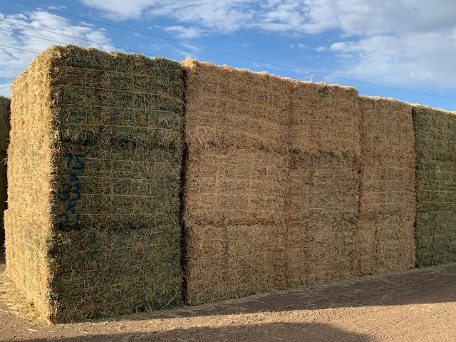 Hay Auction – Centennial Livestock Auction Co.