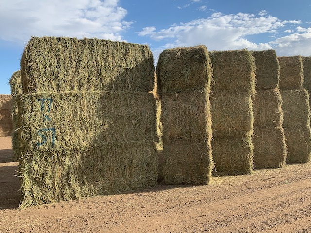 Hay Auction – Centennial Livestock Auction Co.