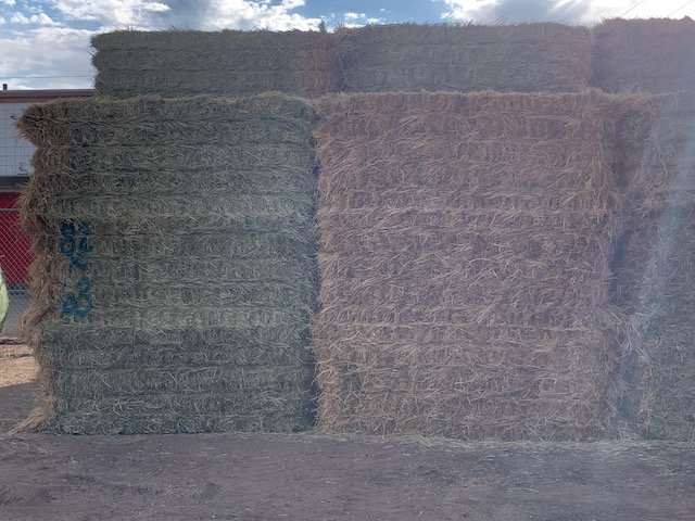 Hay Auction – Centennial Livestock Auction Co.