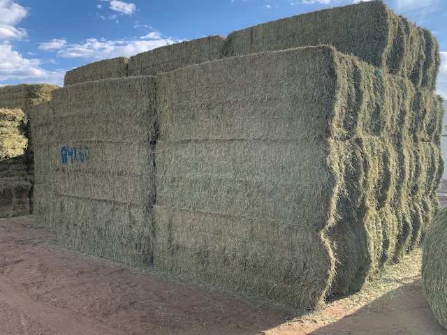 Hay Auction – Centennial Livestock Auction Co.