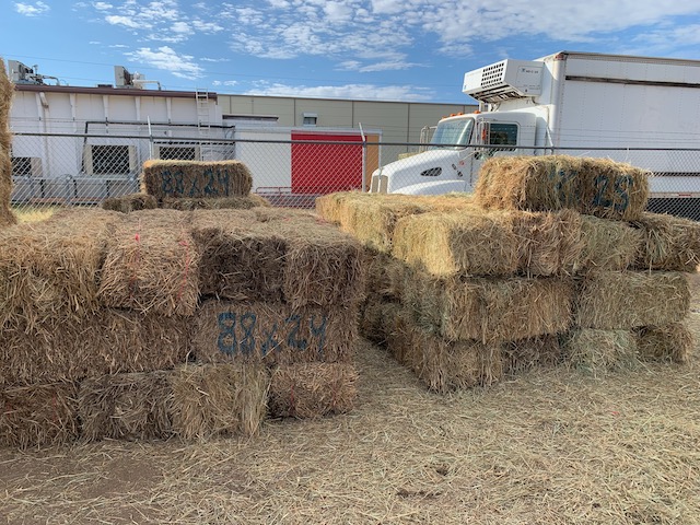 Hay Auction – Centennial Livestock Auction Co.