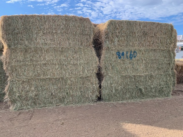 Hay Auction – Centennial Livestock Auction Co.