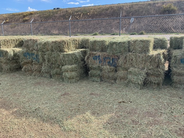 Hay Auction – Centennial Livestock Auction Co.