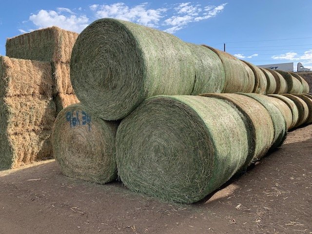Hay Auction – Centennial Livestock Auction Co.