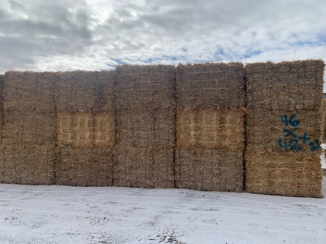 Hay Auction – Centennial Livestock Auction Co.