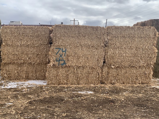 Hay Auction – Centennial Livestock Auction Co.