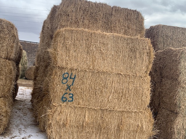Hay Auction – Centennial Livestock Auction Co.