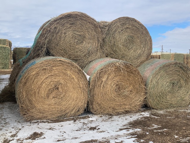 Hay Auction – Centennial Livestock Auction Co.
